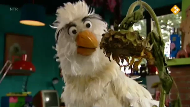 Huisje Boompje Beestje | Schooltv