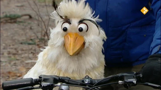 Huisje Boompje Beestje | Schooltv