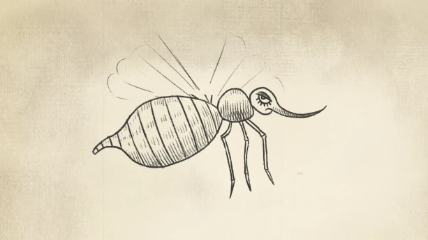 Wat is malaria? | Schooltv