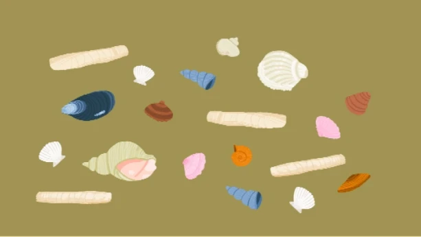 Meeste en minste | Schooltv