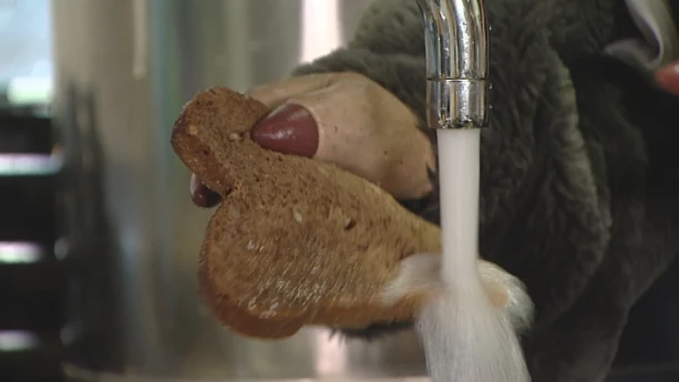 Alles gewassen | Schooltv