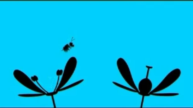 Bestuiving | Schooltv