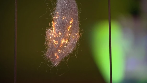 Verbranding | Schooltv