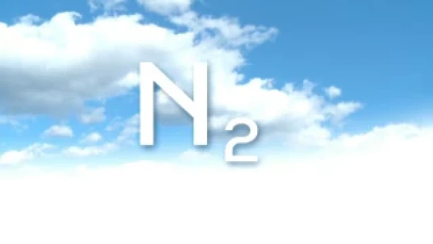 Stikstofkringloop | Biologie examen: zelfregulatie | Schooltv