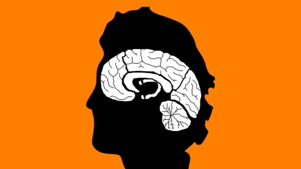 Hersenschade door alcoholgebruik | Schooltv