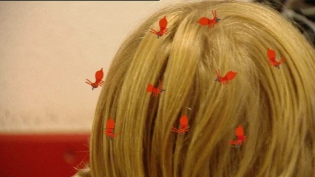 Hoofdluis | Schooltv