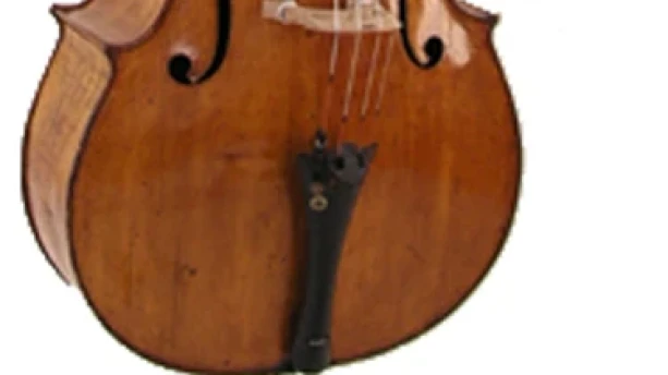 Contrabas | Schooltv