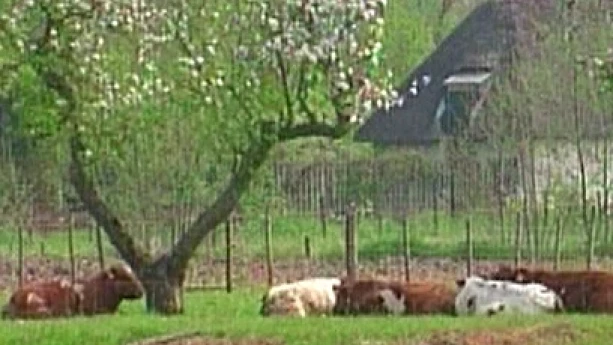 Het rivierkleilandschap | Schooltv