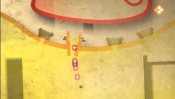 Bio-Bits bovenbouw: De maakbare mens | Schooltv