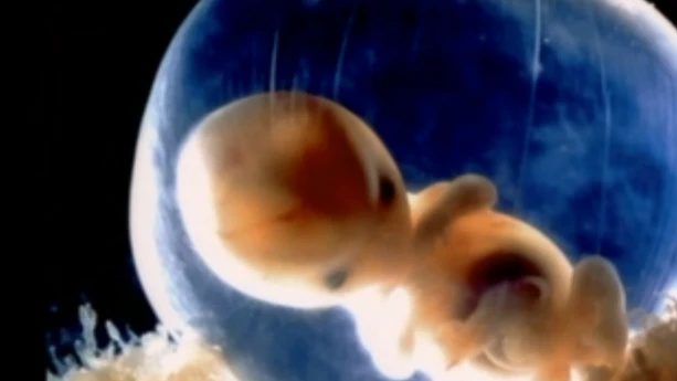 Bio-Bits bovenbouw: De maakbare mens | Schooltv