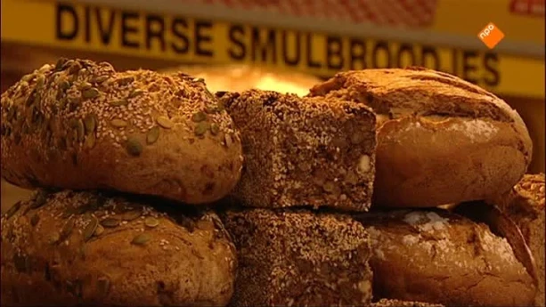 Focus op biologie | Schooltv