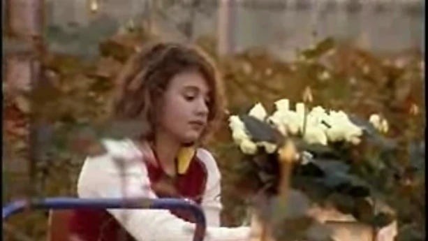 Bio-bits vmbo: planten | Schooltv