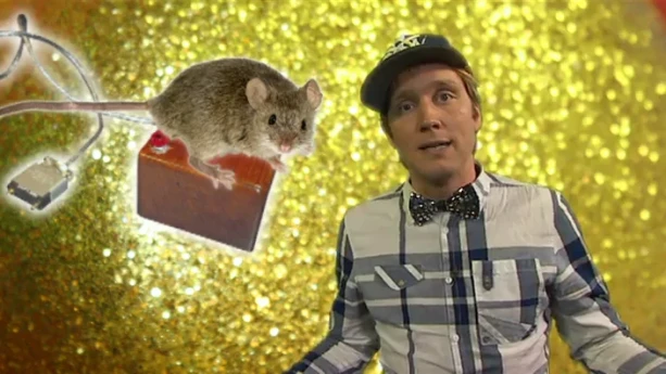 Waarom is de computermuis vernoemd naar een muis? | Schooltv