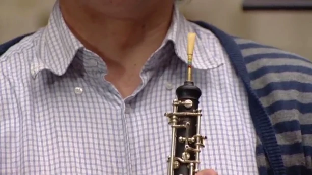 De houtblazers van het Metropole-orkest | Schooltv