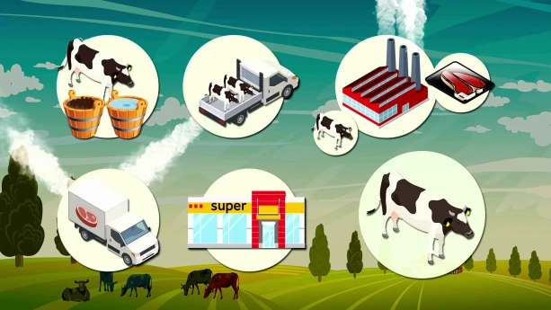 Waarom is vlees eten slecht voor het milieu? | Schooltv