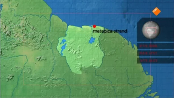 Freeks wilde wereld | Schooltv