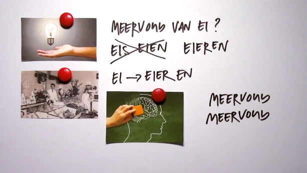 Waarom is eieren het meervoud van ei? | Grammatica | Schooltv