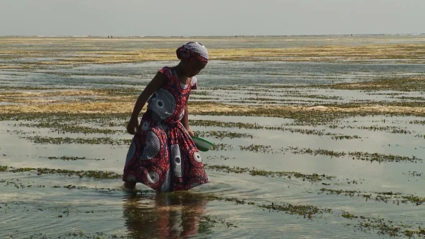 Awena en Abduli zoeken mosselen | Schooltv