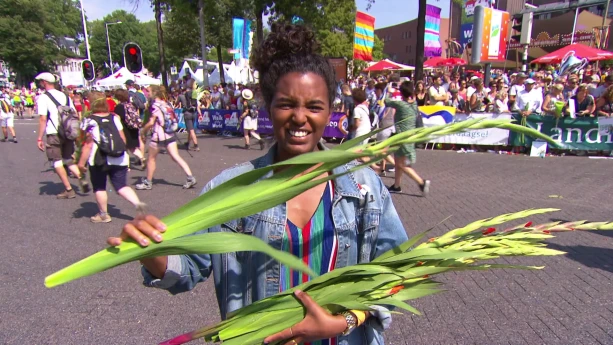 Waarom krijgen wandelaars van de Nijmeegse Vierdaagse gladiolen? | Schooltv