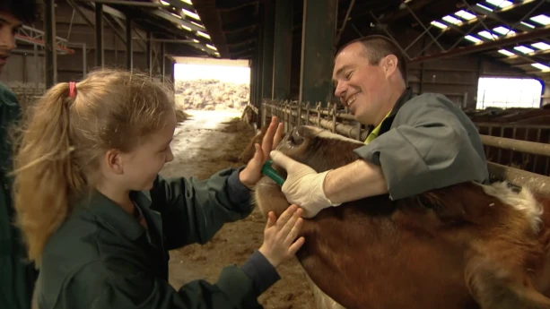 Wat doet een veearts?