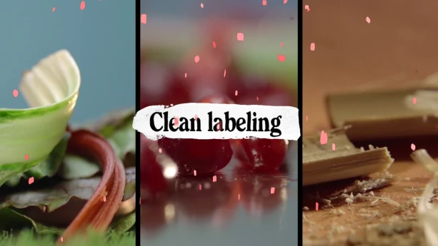 Wat is clean labeling? | Schooltv