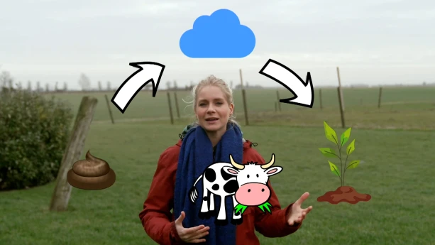 Wat is stikstof? | Schooltv