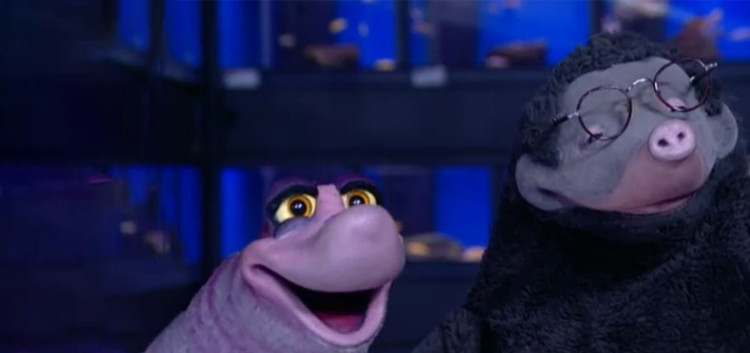 Taal met Moffel en Pier | Schooltv