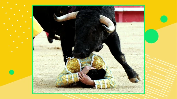 Waarom wordt er in sommige landen met stieren gevochten? | Schooltv