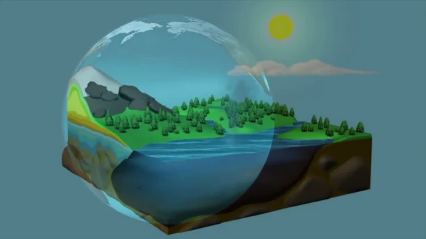 De waterkringloop op aarde | Schooltv