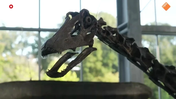 Nieuwe dinosaurussoort: Ardetosaurus Viator | Schooltv