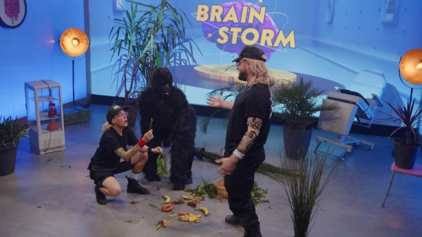 Brainstorm | Schooltv